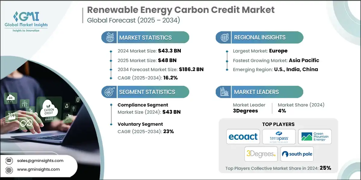 Renewable Energy Carbon Credit Market Size, 2025-2034 Report