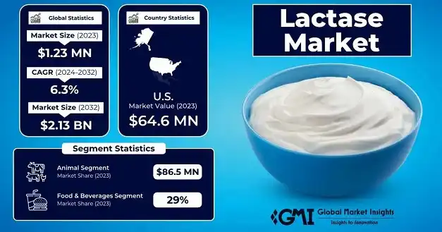 Lactase Market Forecasts 2024-2032 | Statistics Report